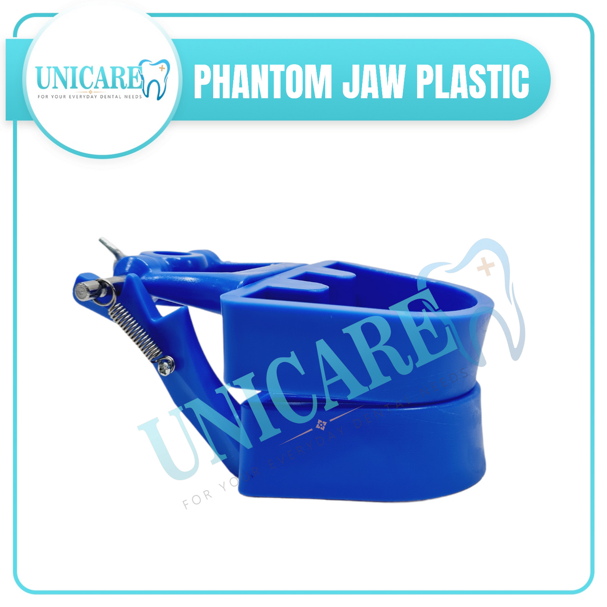 Phantom Jaw Plastic – Unicare Dental Medical Supply
