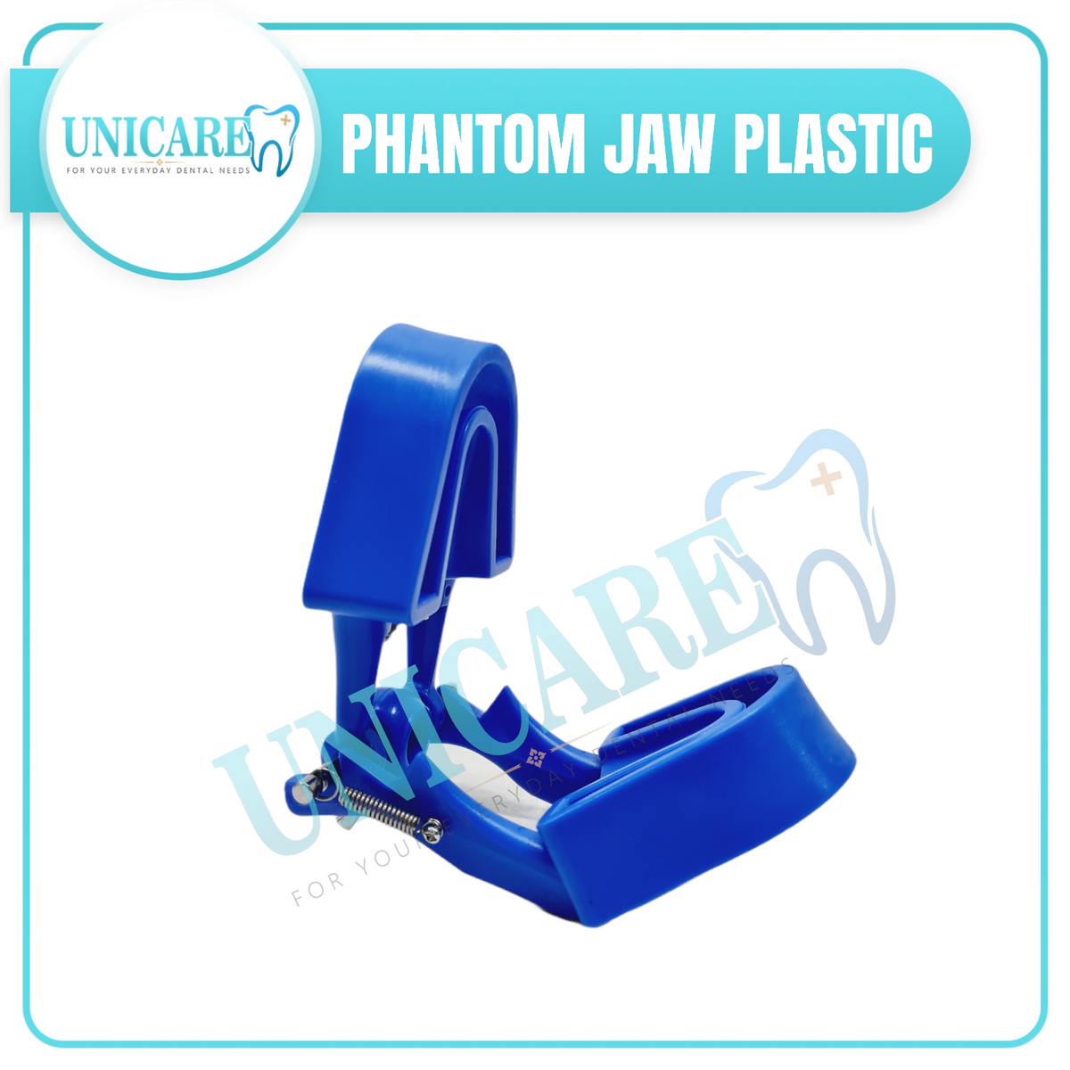 Phantom Jaw Plastic – Unicare Dental Medical Supply