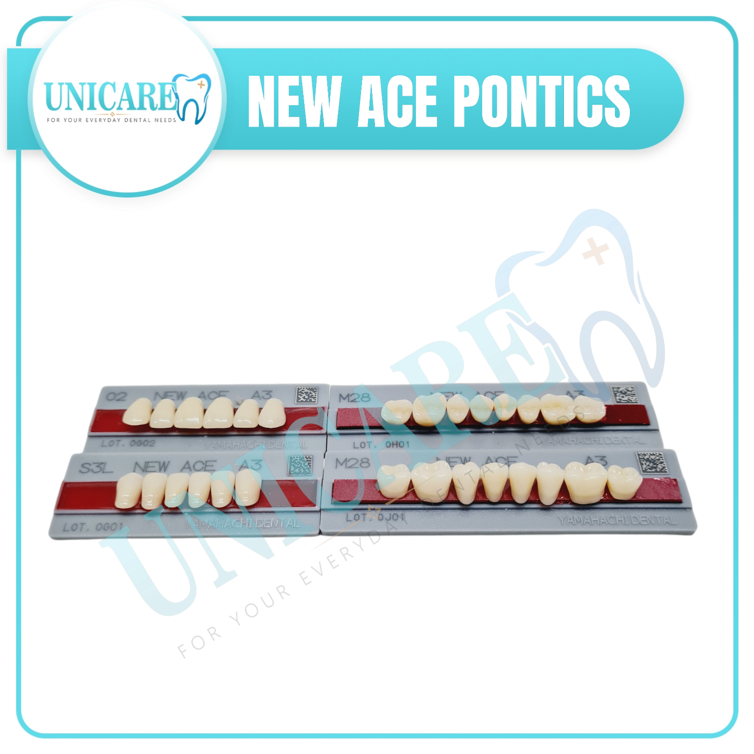 New Ace Pontics – Unicare Dental Medical Supply