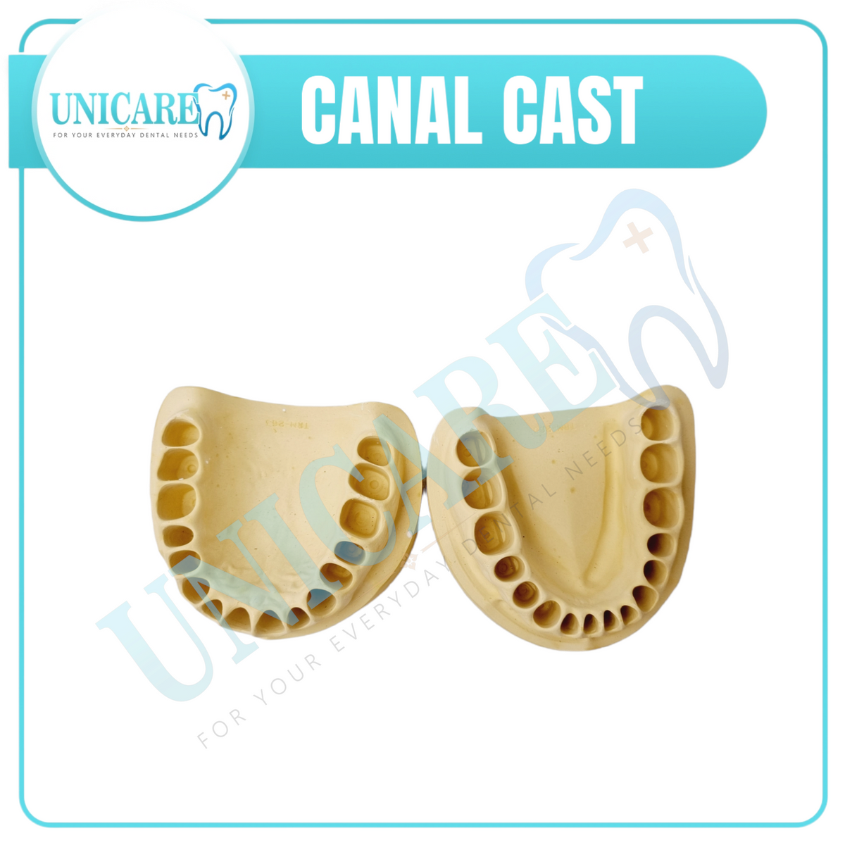 Canal Cast – Unicare Dental Medical Supply
